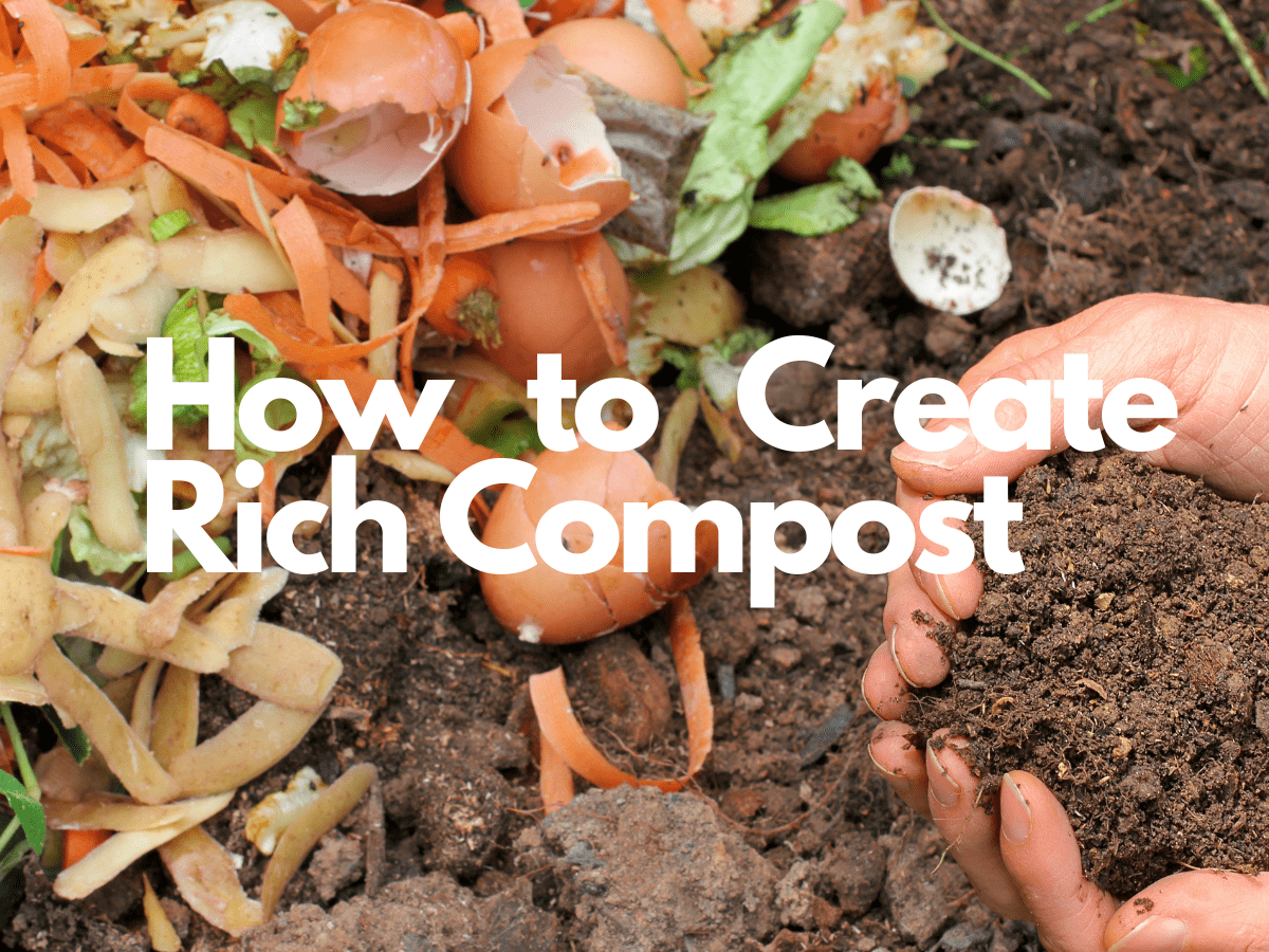 Ultimate Guide to Transforming Kitchen Scraps into Nutrient-Rich ...